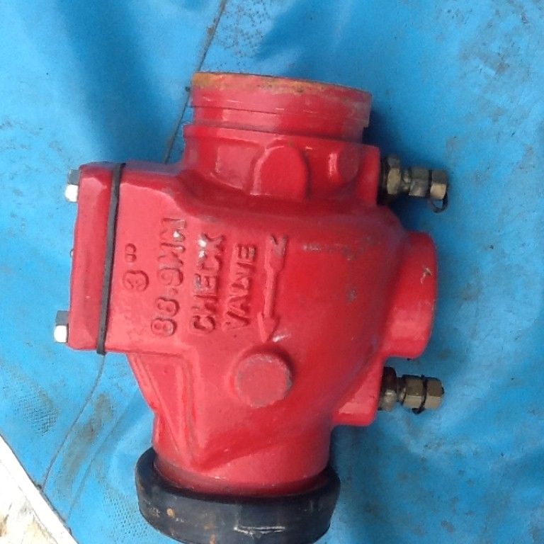 GRINNELL Model CV-1 Grooved End Swing Check Valves – NickHixon